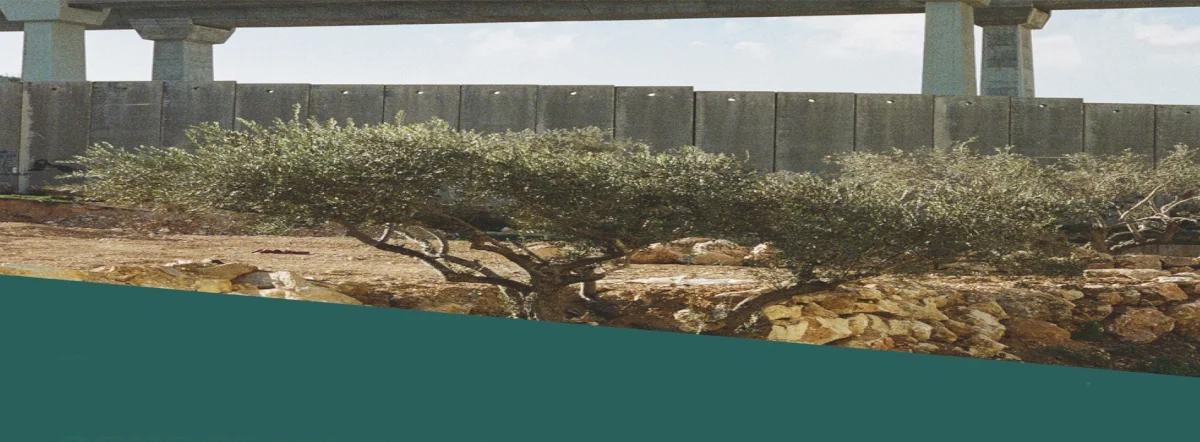 BADIL Calls on Third-Party States to Impose Sanctions on Israel ...